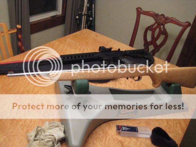 which tech sights? | Rimfire Central Firearm Forum