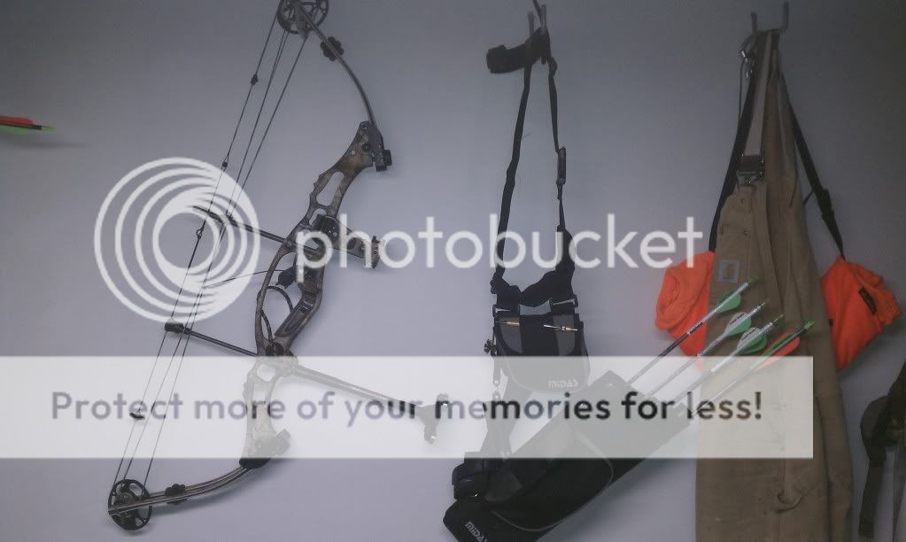 Doinker??? | Archery Talk Forum