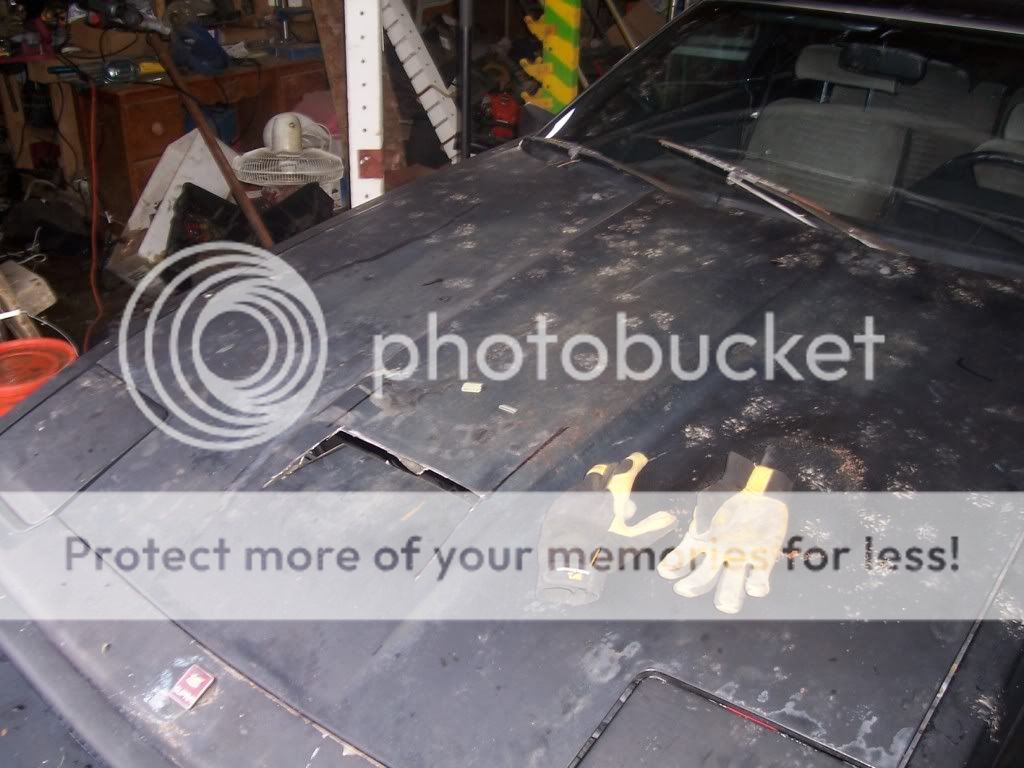 82 L-type restoration and 5mgte megasquirt 3 build | Toyota Celica ...